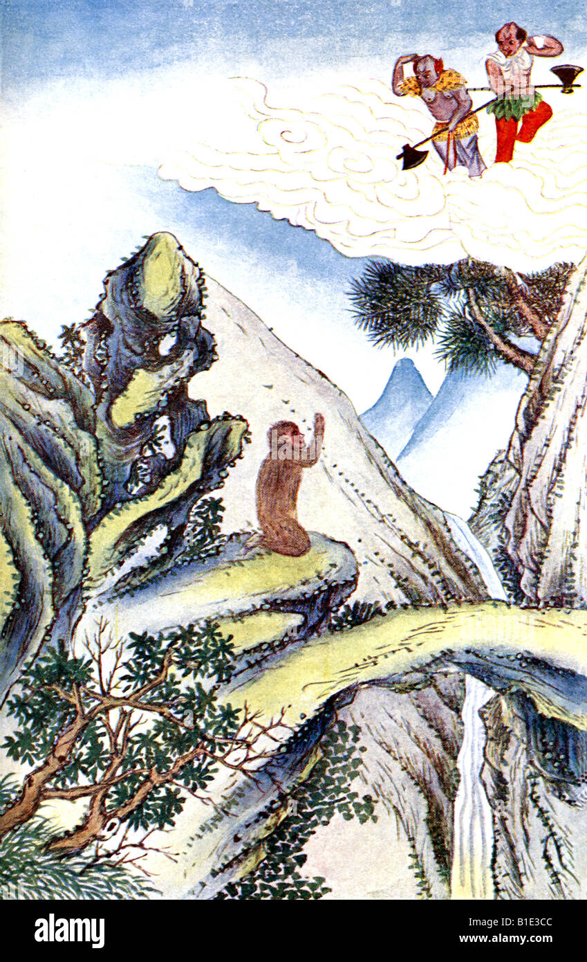 The birth of the monkey hi-res stock photography and images - Alamy