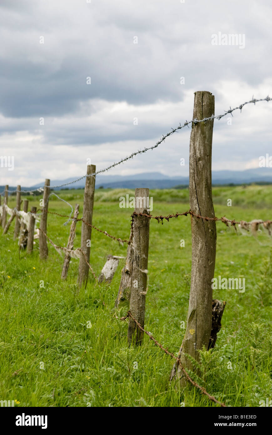 post and barbed wire fence Stock Photo - Alamy
