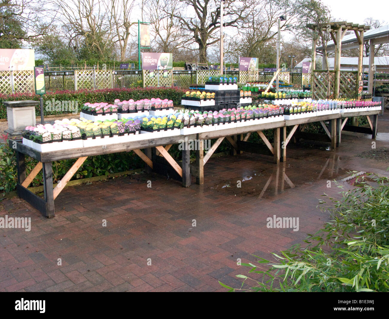 Rows of seed pots hi-res stock photography and images - Alamy
