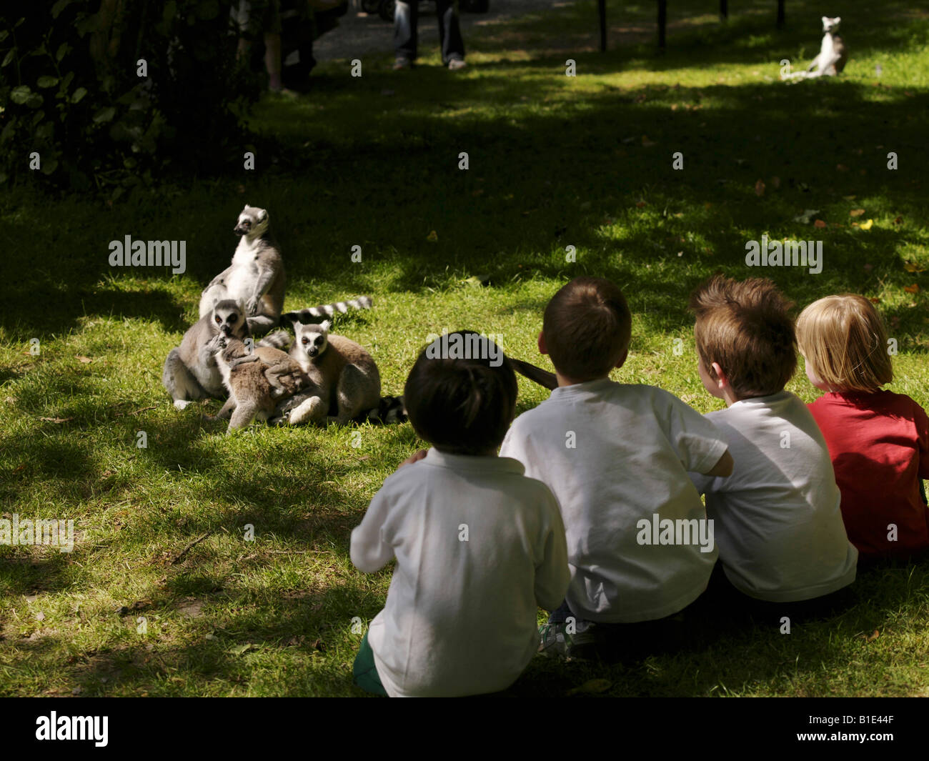 Fota Island Zoo Cork Stock Photo - Alamy