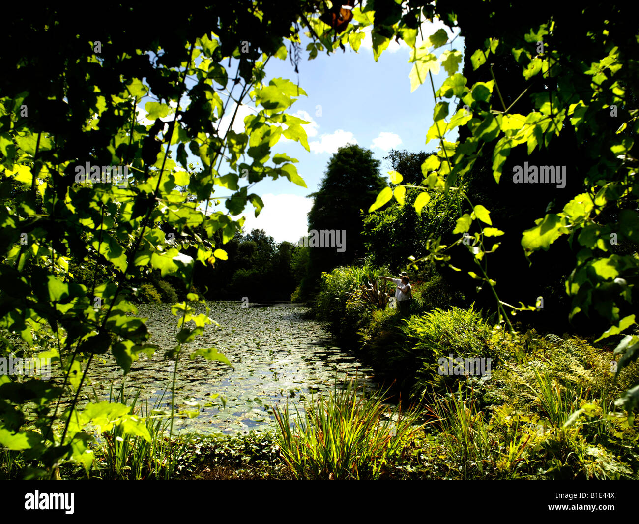 Altamont gardens hi-res stock photography and images - Alamy