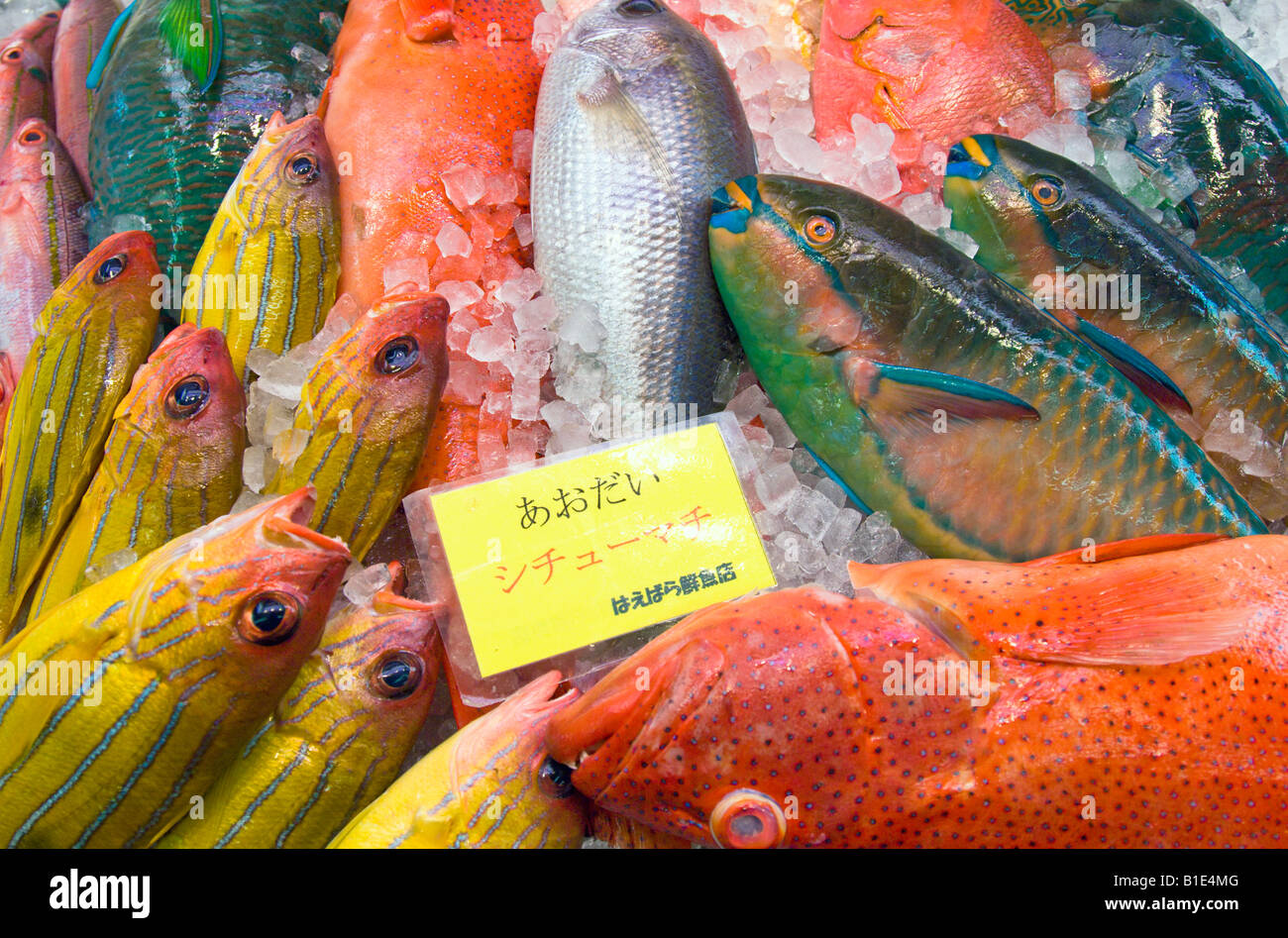 Fresh Fish on display. Makishi Public Market, Okinawa, Naha, Japan ...