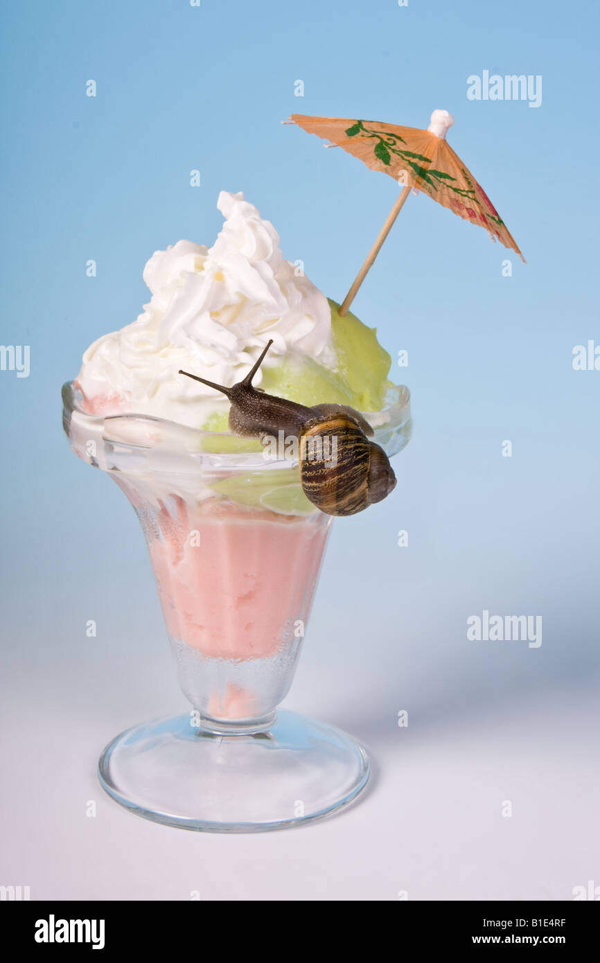 Funny snail having a party with an ice cream Stock Photo - Alamy