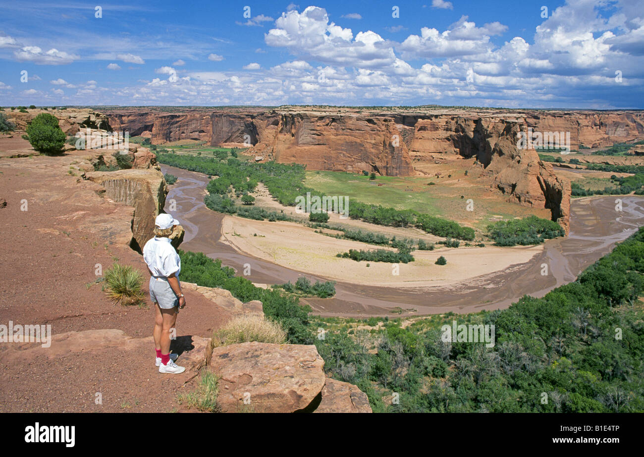 A hiker stands atop the steep sandstone walls of Canyon de Chelly ...