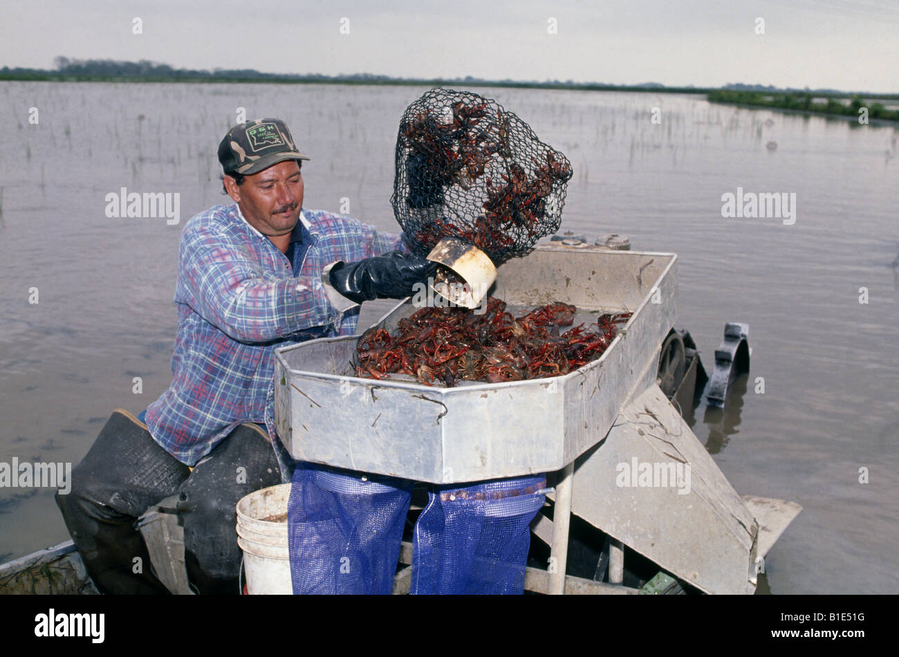 Crawfish Table Boats
