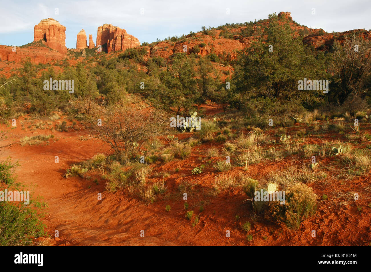 Red Rock Crossing leading to Cathedral Rock in Sedona Arizona Stock ...