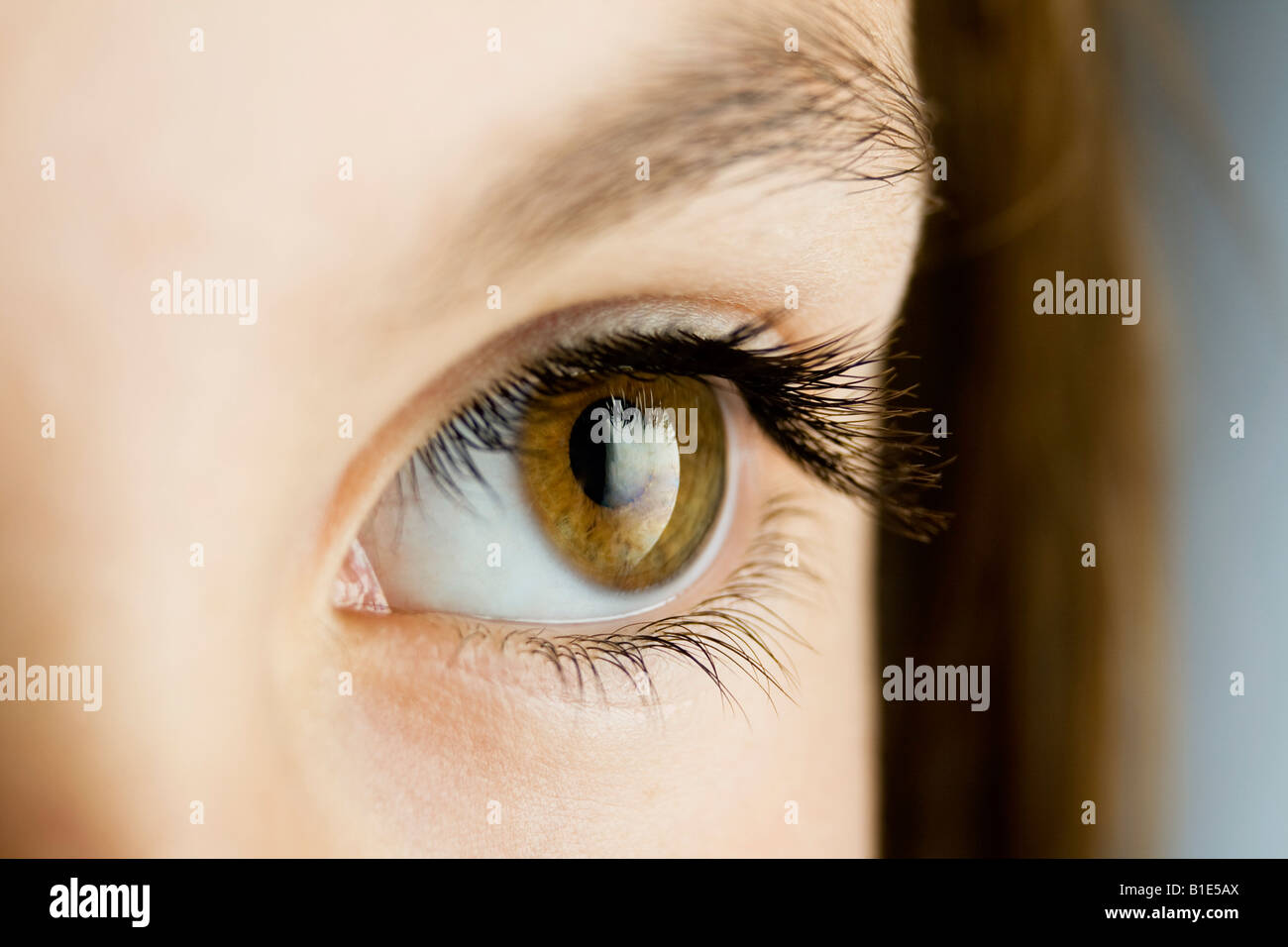 Female hazel eye close up hi-res stock photography and images - Alamy