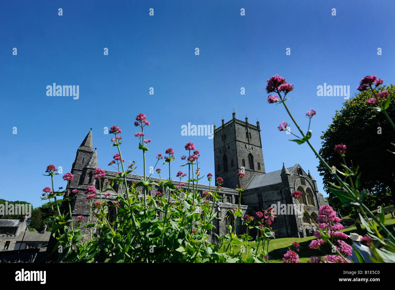 St davids church flowers hi-res stock photography and images - Alamy