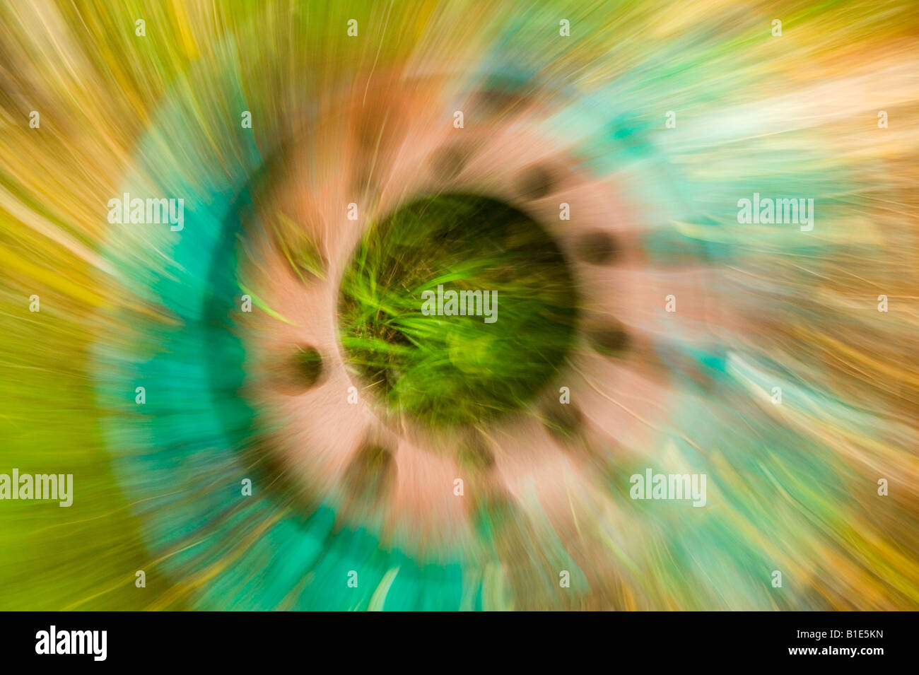 Colorful abstract tire rim and grass blurred Stock Photo - Alamy