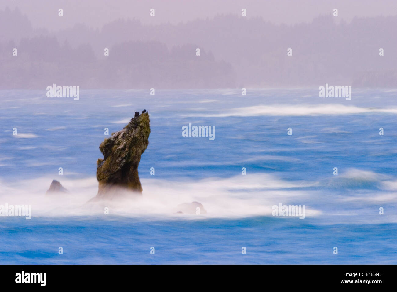 Wind driven waves crash on rocky point in storm Pacific Ocean Stock ...