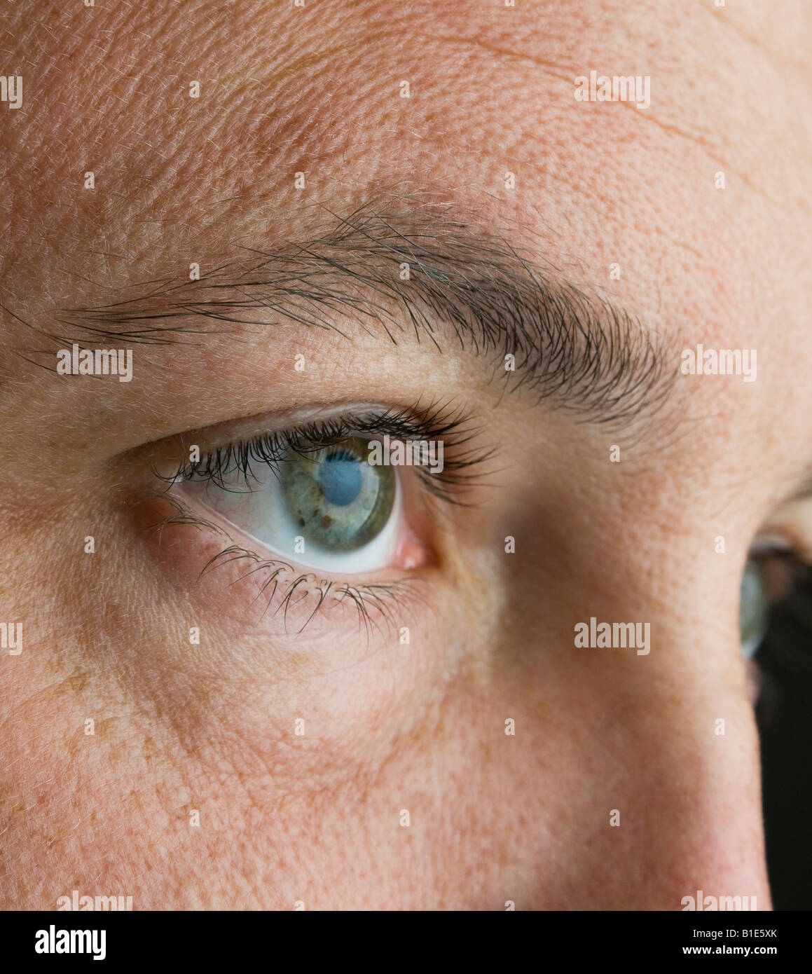 Sight vision hi-res stock photography and images - Alamy