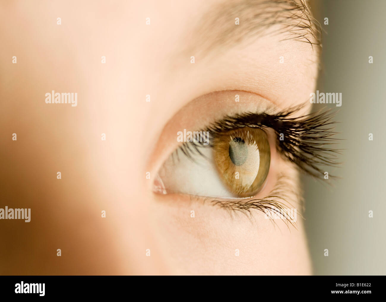 Eye sight and vision hi-res stock photography and images - Alamy