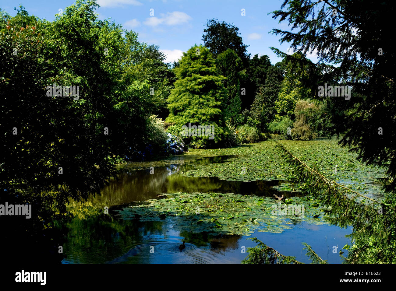 Altamont Gardens Carlow Ireland Stock Photo - Alamy
