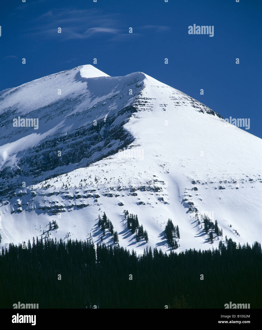 SHEEP MOUNTAIN LOOKING EAST FROM LIZARD HEAD PASS COLORADO Stock Photo ...