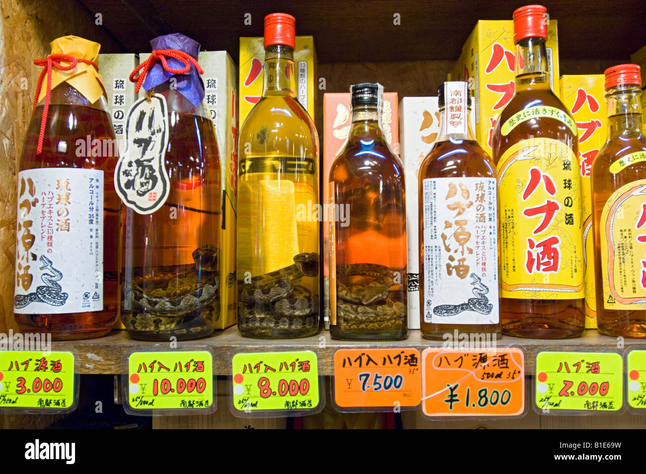 Japanese Sake With Snake