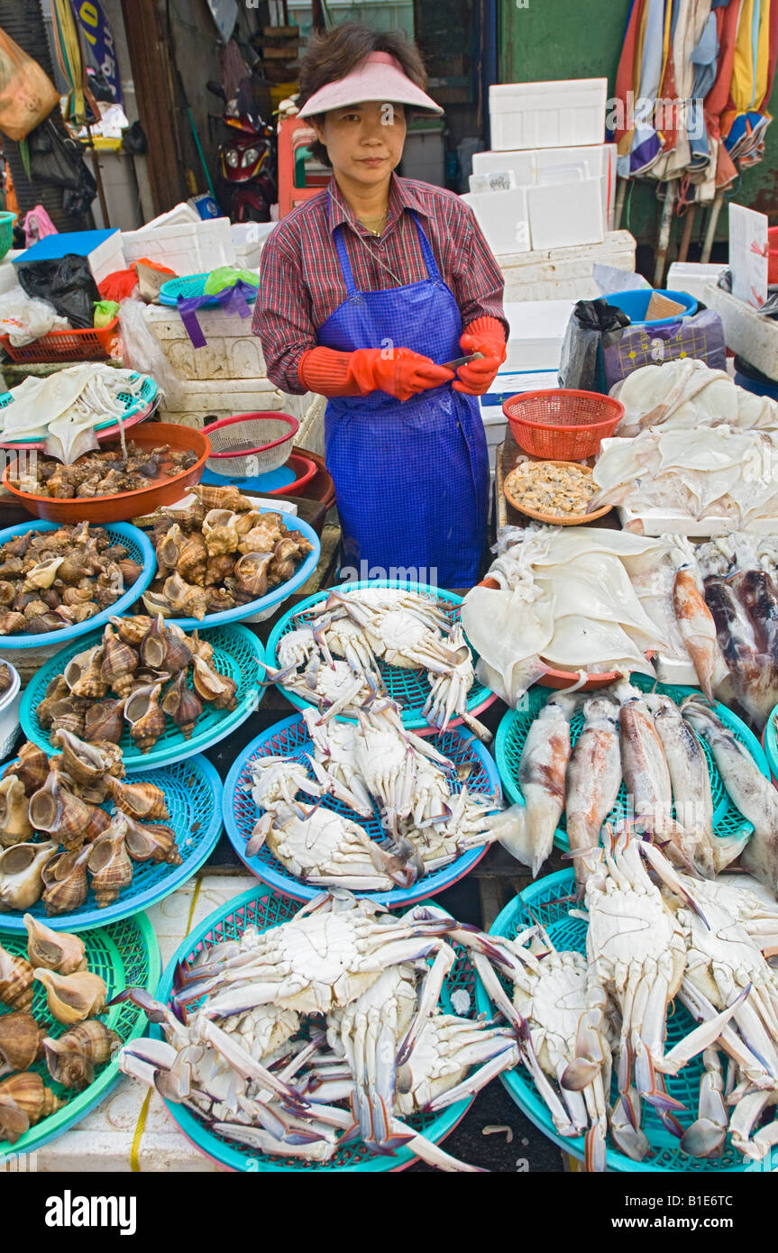 Seafood Vendor at Jagalchi Fish Market, Busan, South Korea Stock Photo ...