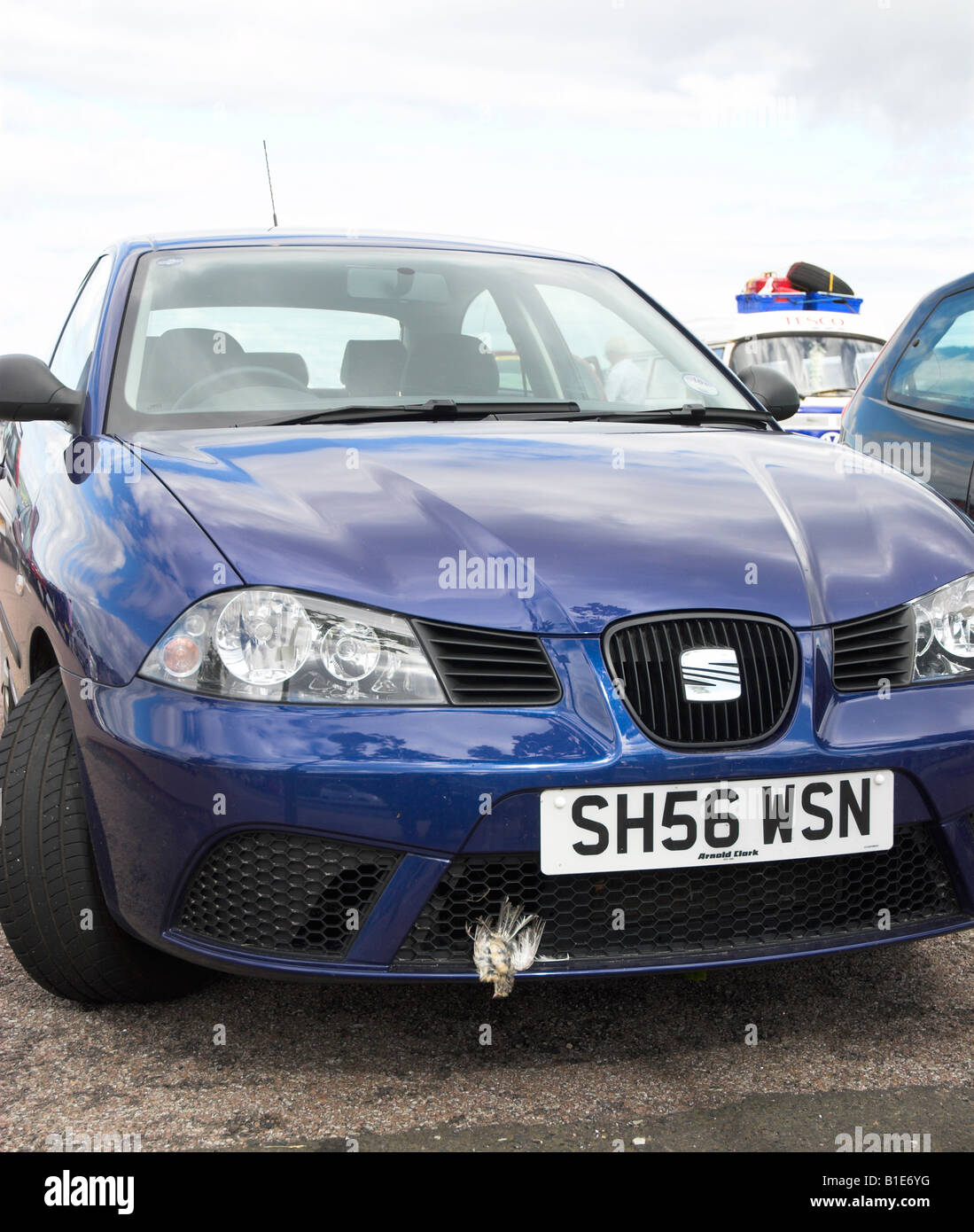 Blue bird car hi-res stock photography and images - Alamy