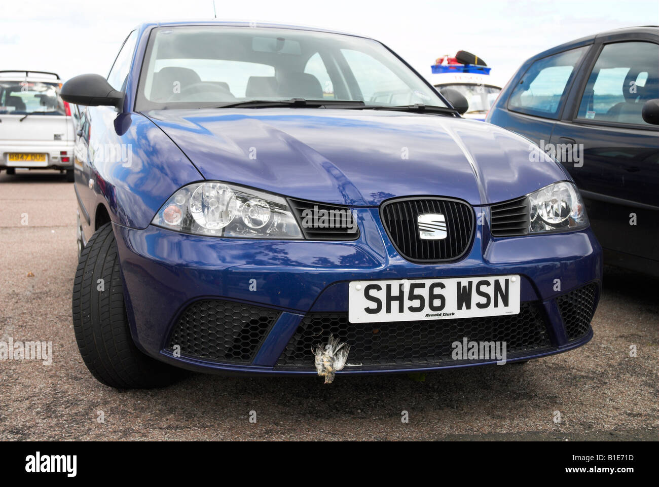 Blue bird car hi-res stock photography and images - Alamy