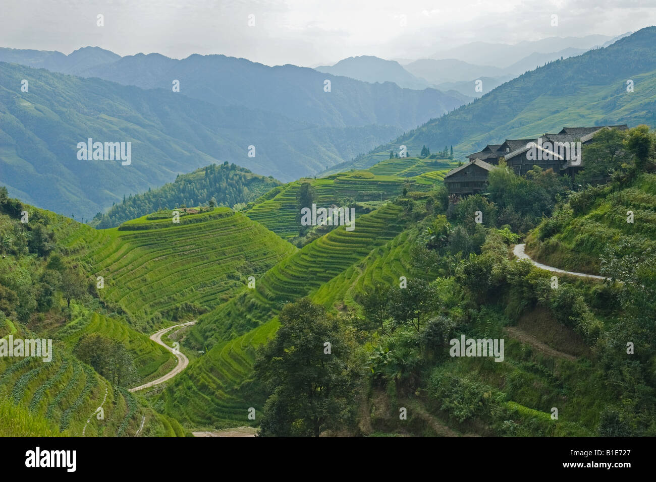 Rice terraces at Longi, China Stock Photo - Alamy