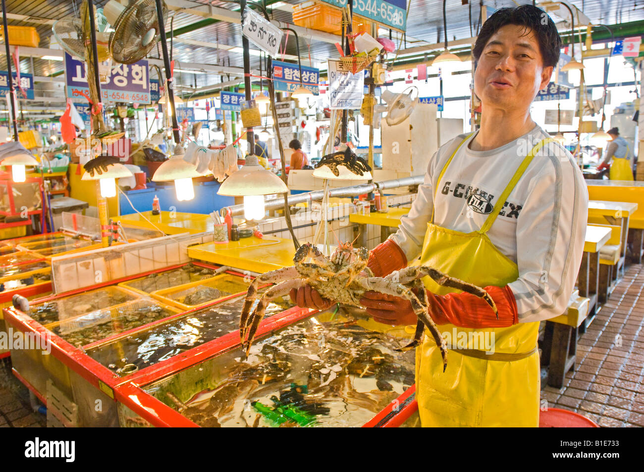 Seafood vendor holding a live lobster at Jagalchi Fish Market, Busan ...