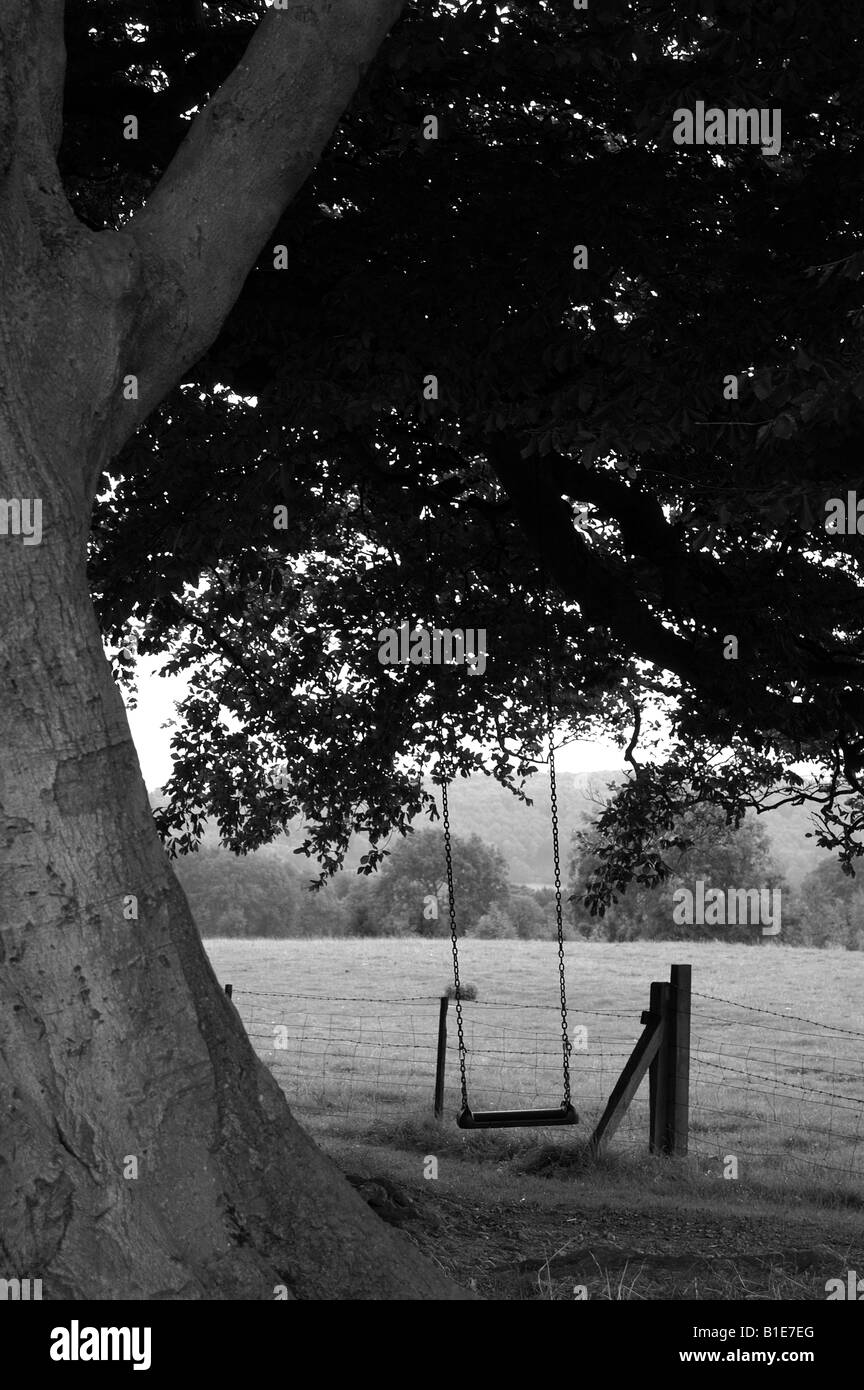 Tree with Swing Stock Photo - Alamy