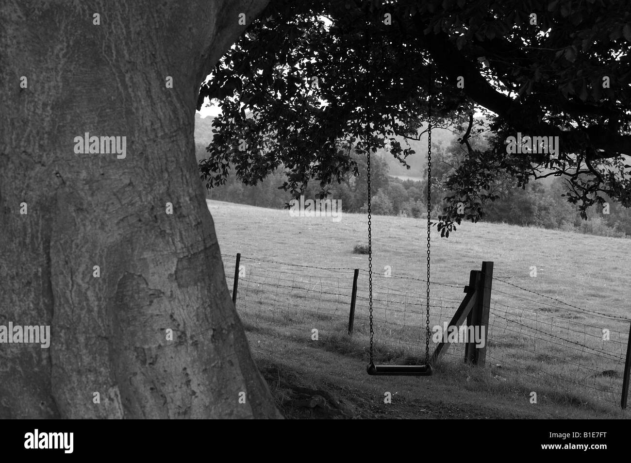 Swing with leaves Black and White Stock Photos & Images - Alamy