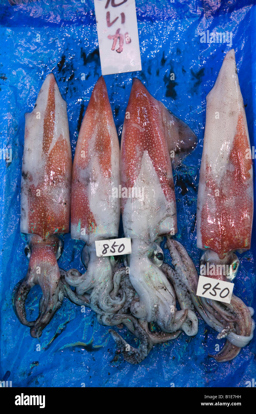Kyoto, Japan. Nishiki Ichiba market. Squid in the fish market Stock ...