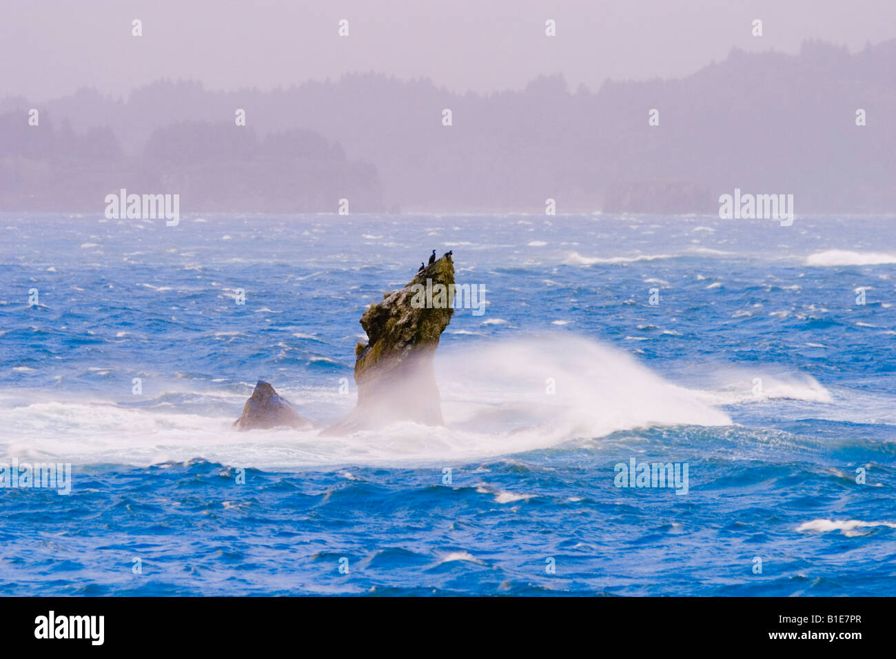 Wind driven waves crash on rocky point in storm Pacific Ocean Stock ...
