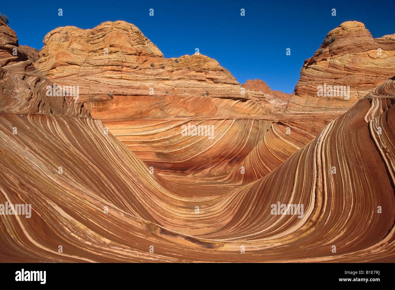 *The Wave* Sandstone Geological formation Vermilion Cliffs national ...