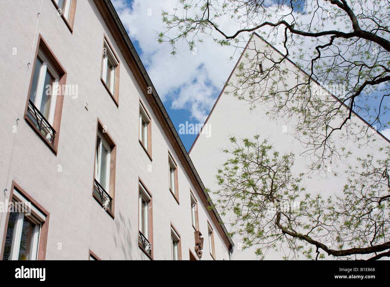Tree building hi-res stock photography and images - Alamy