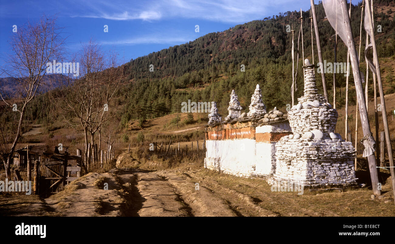 Traditionally white spirit hi-res stock photography and images - Alamy