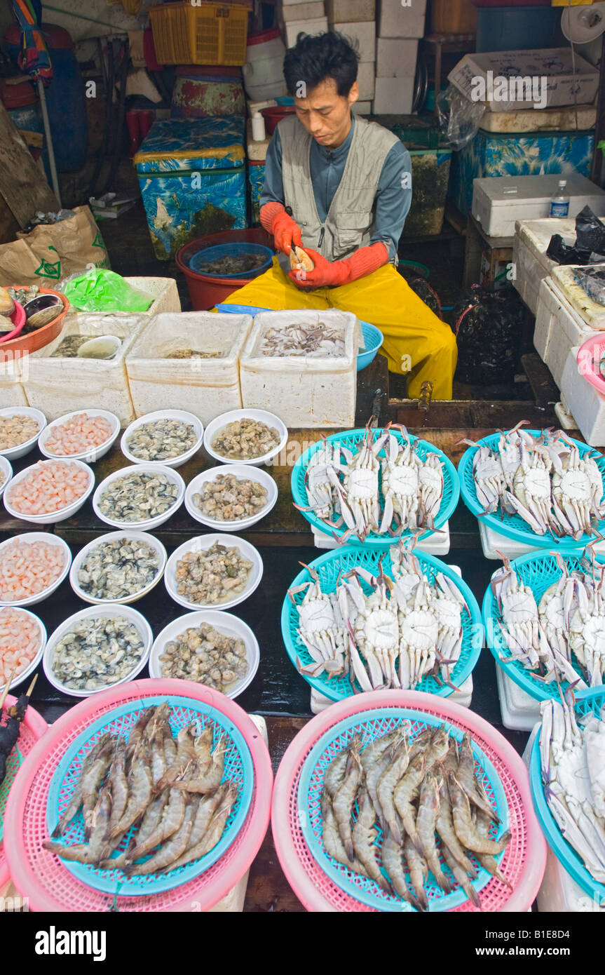 Seafood Vendor at Jagalchi Fish Market, Busan, South Korea Stock Photo ...