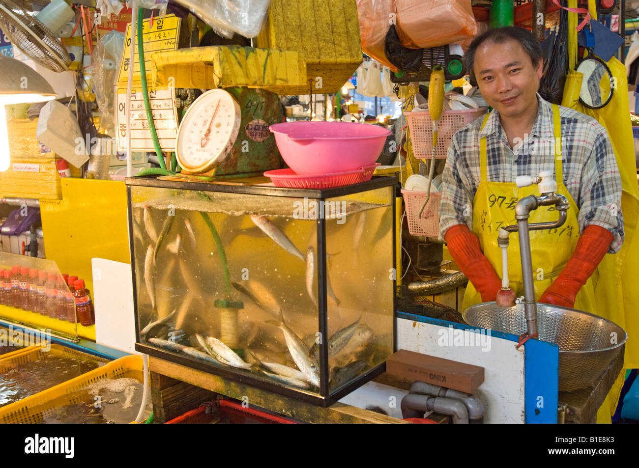 Seafood Vendor at Jagalchi Fish Market, Busan, South Korea Stock Photo ...