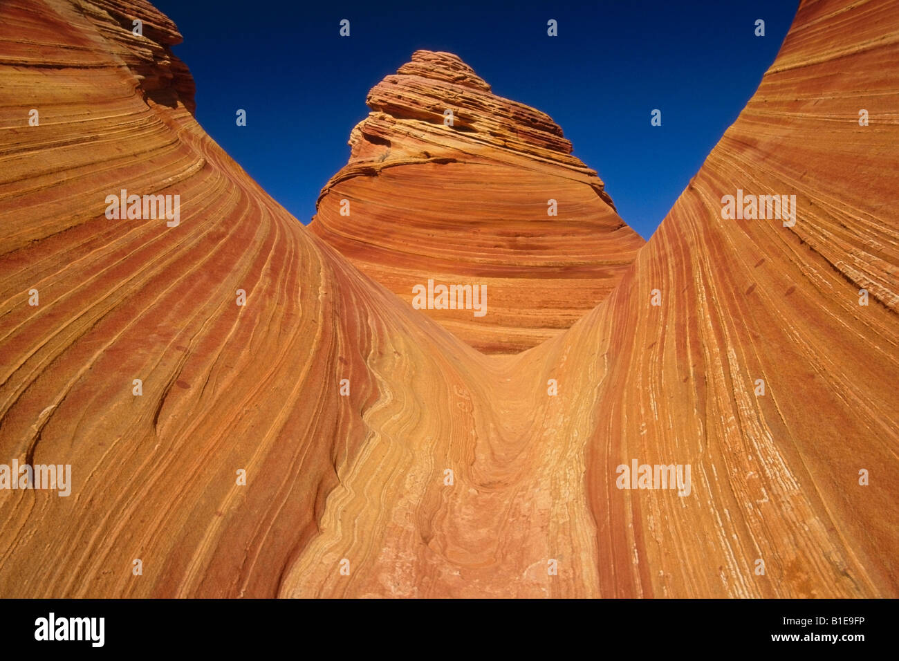 *The Wave* Sandstone Geological formation Vermilion Cliffs national ...