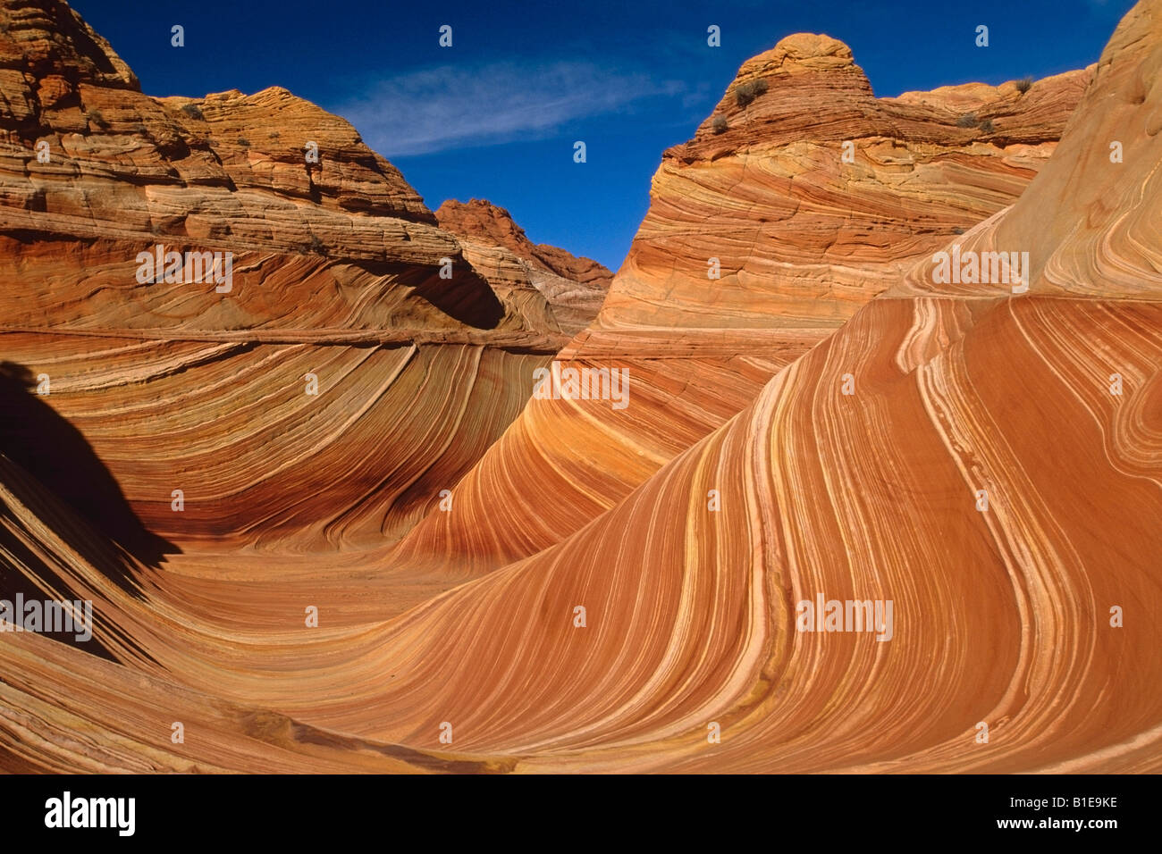 *The Wave* Sandstone Geological formation Vermilion Cliffs national ...