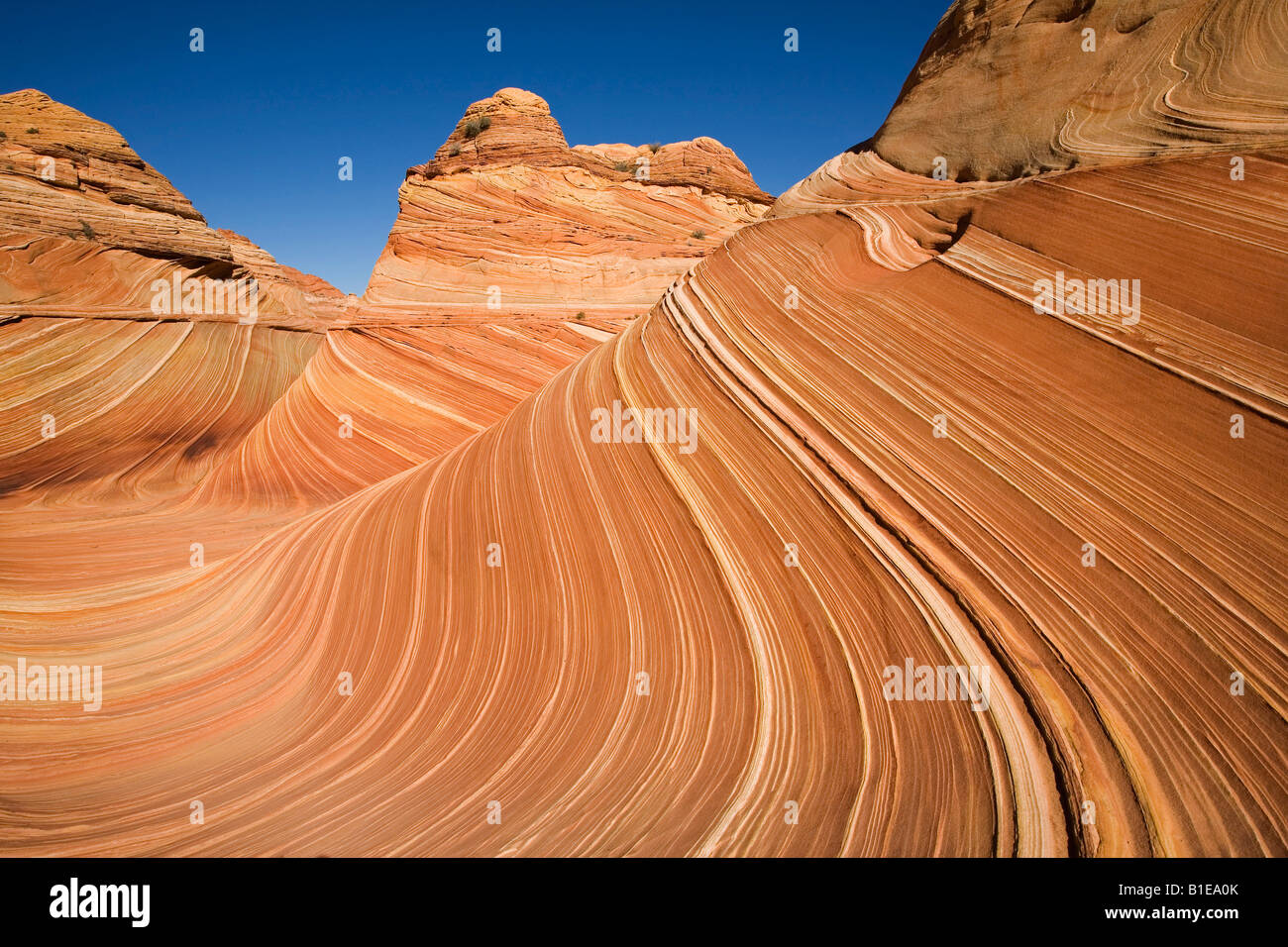 *The Wave* sandstone formation @ Coyote Buttes Northern Arizona USA ...