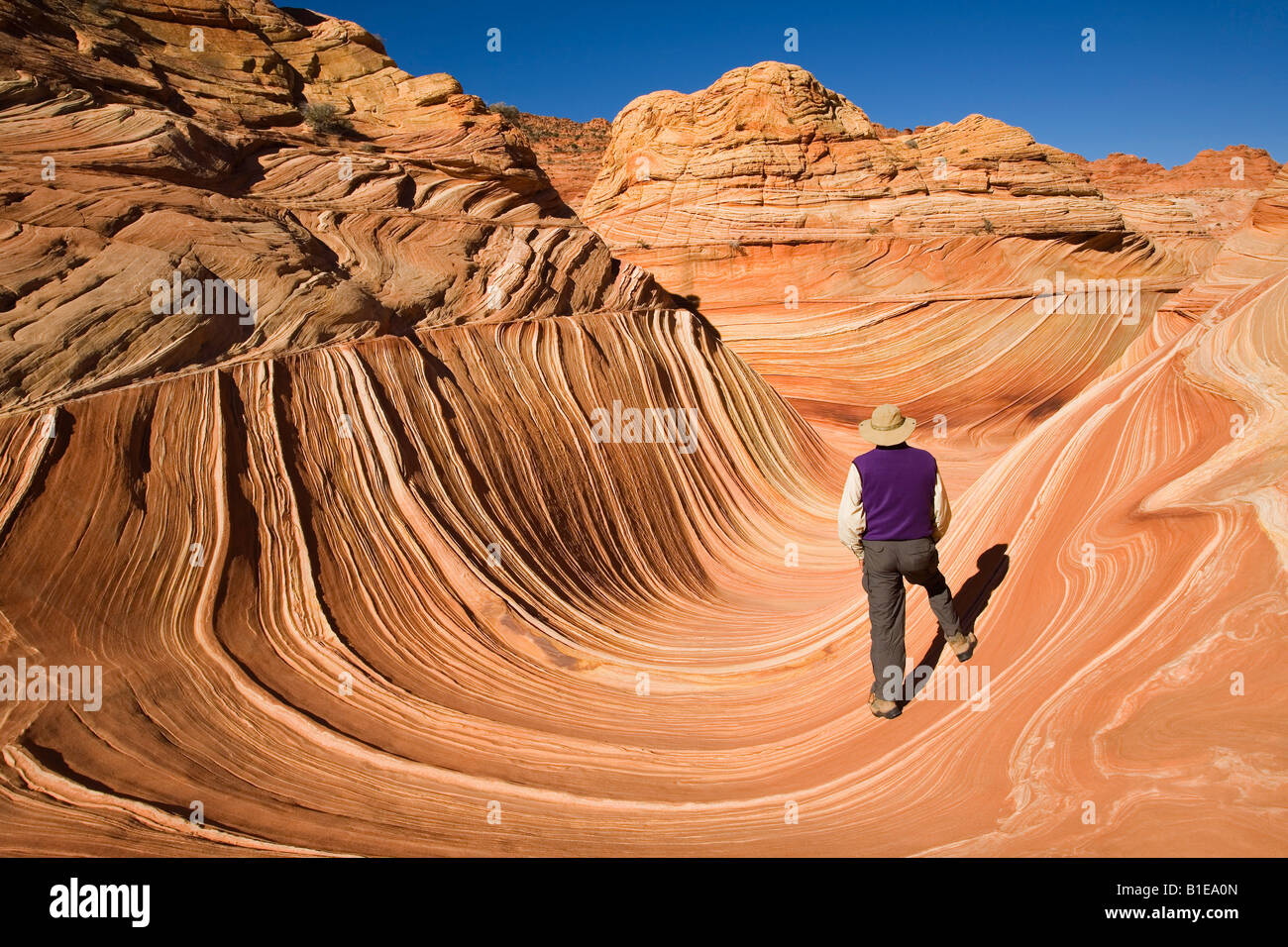 Male hiker standing in *The Wave* geological formation Coyote Buttes ...