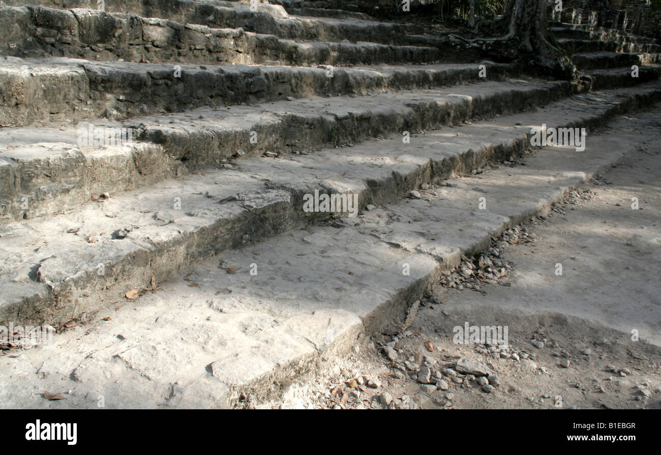 Mayan steps at Coba Stock Photo - Alamy