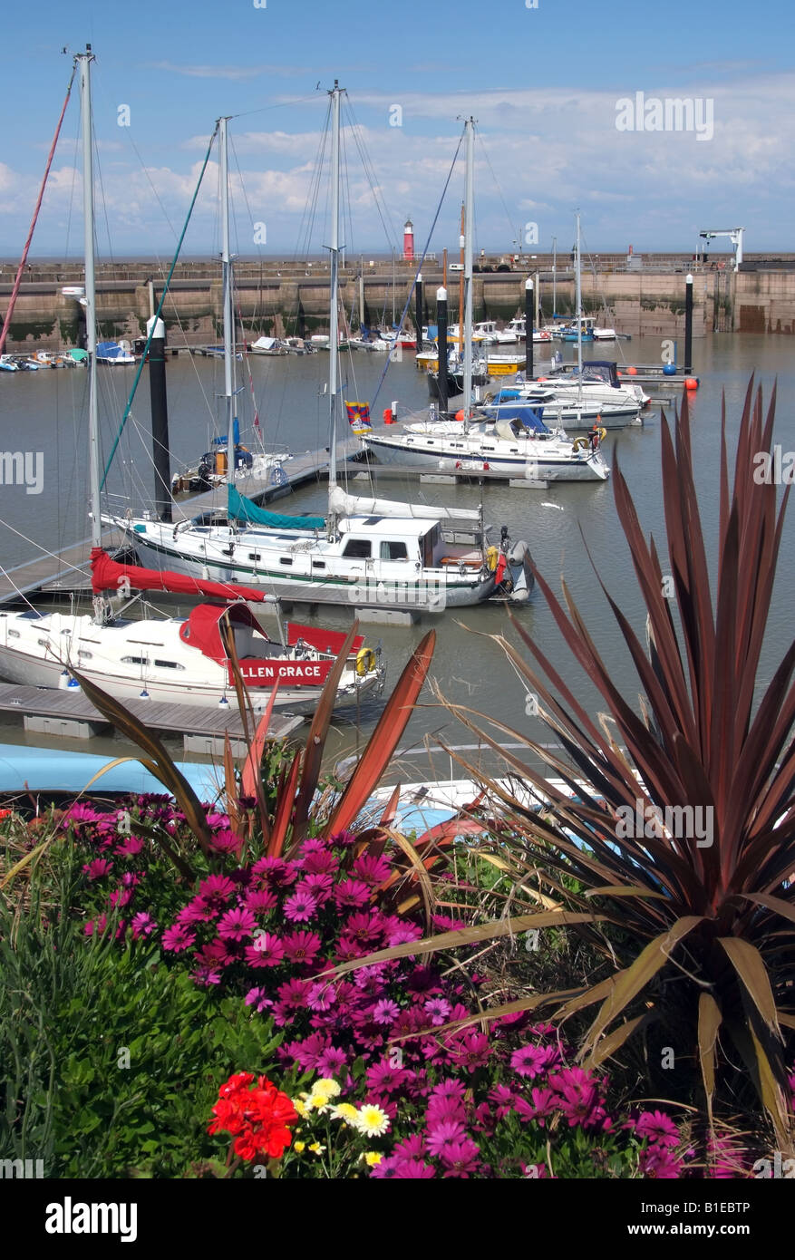 WATCHET HARBOUR. SOMERSET. ENGLAND. UK Stock Photo - Alamy