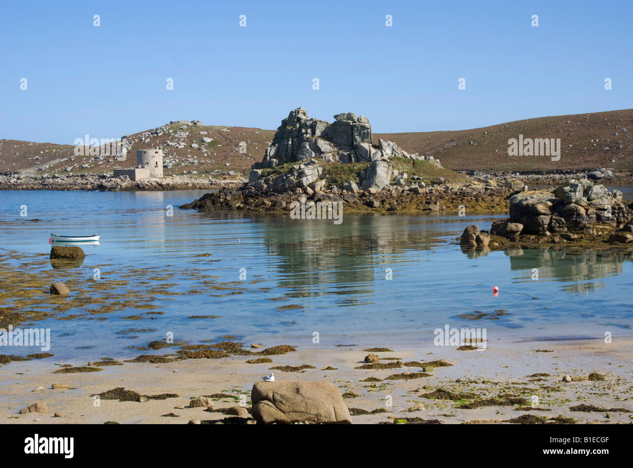 Hangman's Island and Cromwell's castle on Tresco, Isles of Scilly Stock ...