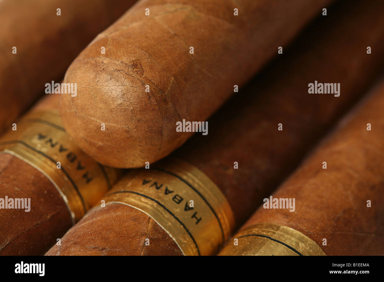 Havana cigars texture Stock Photo - Alamy