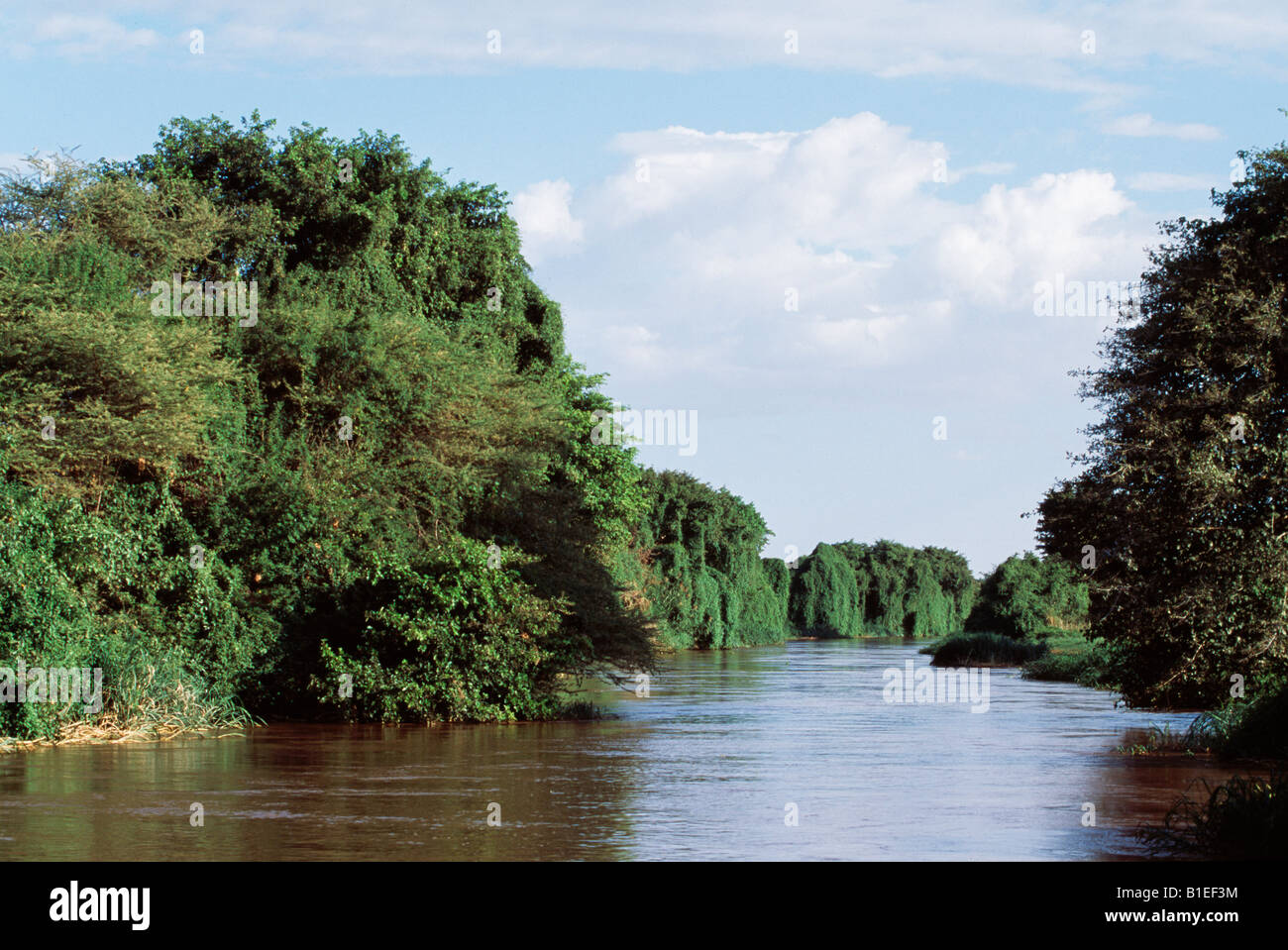 A narrow channel of the Omo River flowing through the floodplain of the ...