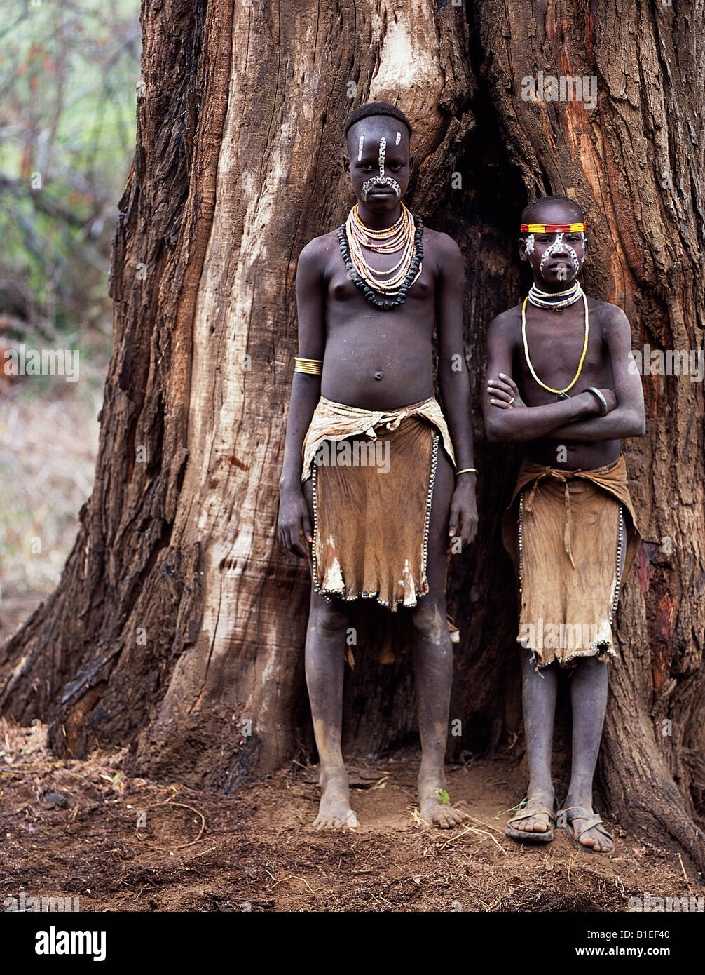 Two young Karo girls stand in front of the massive trunk of a fig tree ...
