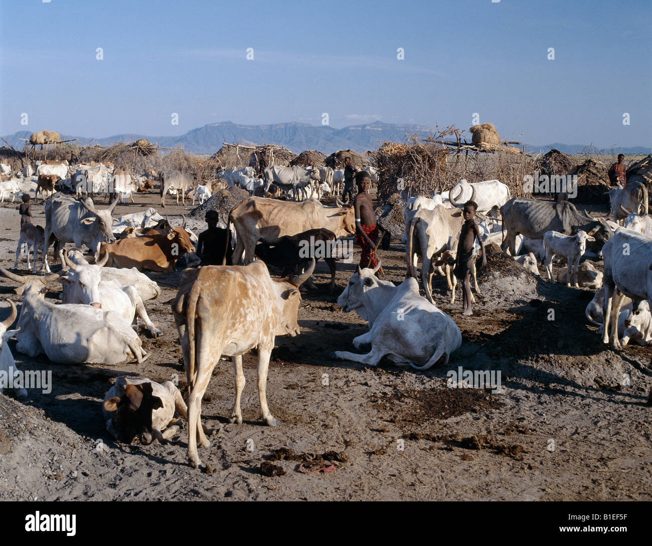 Omo delta hi-res stock photography and images - Alamy