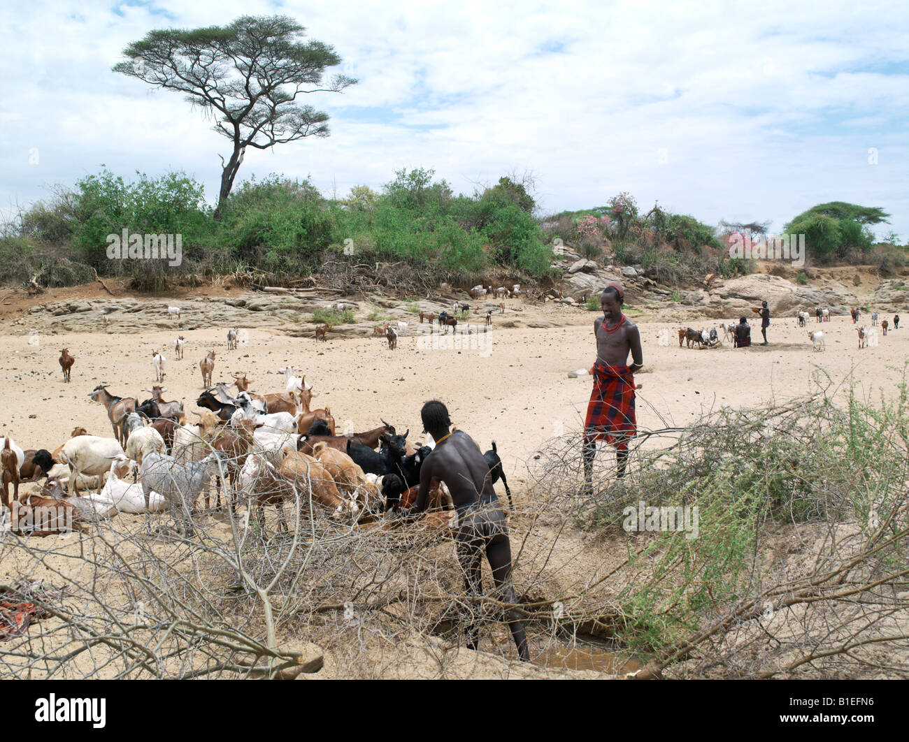 Ethiopian waters hi-res stock photography and images - Alamy