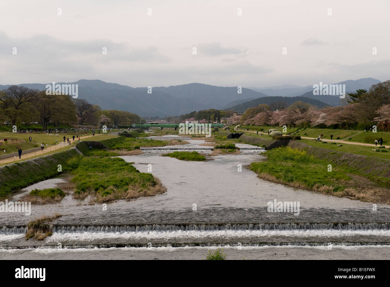 Kyoto, Japan. The Kamo river (Kamo-gawa) flows through the city Stock ...