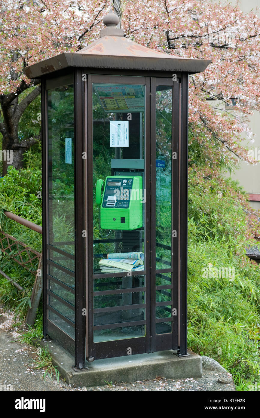 Kyoto, Japan. Public telephone kiosk with a flowering cherry tree in ...