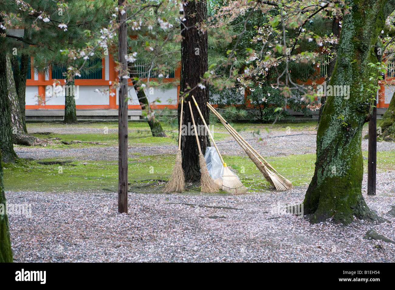 Heian shrine kyoto sakura hi-res stock photography and images - Alamy