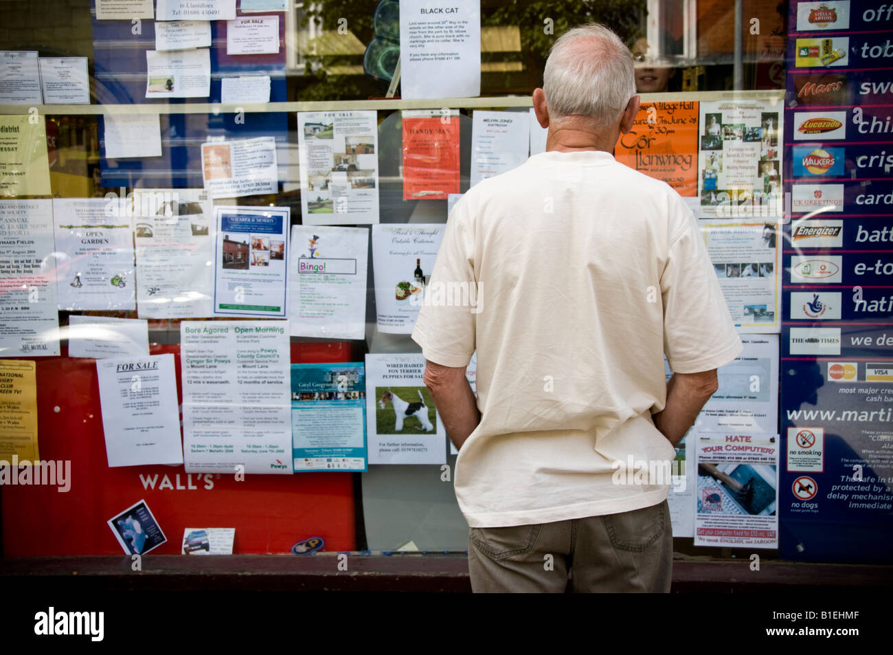 rear view of man looking at small adverts and posters in newsagent shop ...