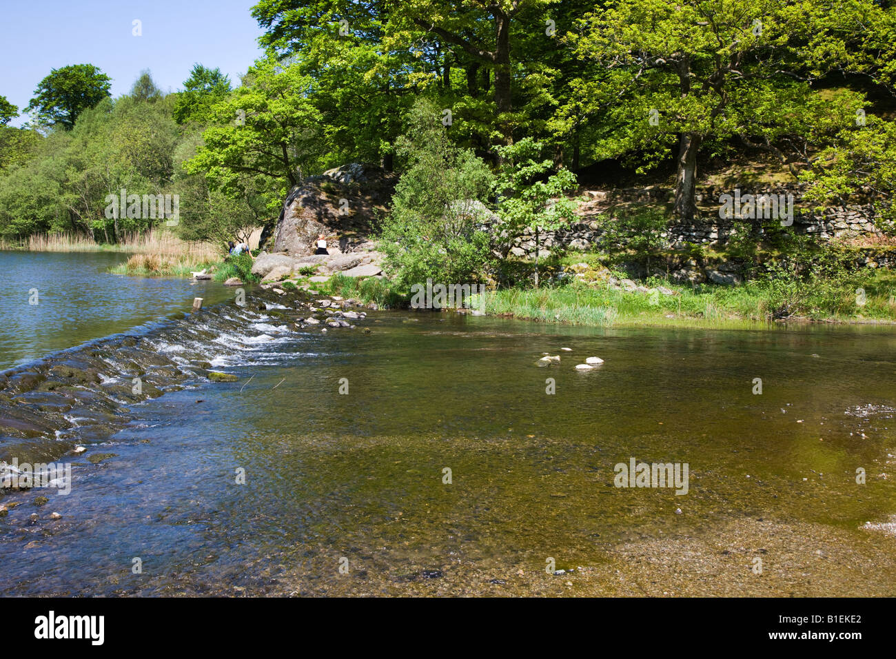 Lake Grasmere In May The Early Spring Colours Around The Lakes ...